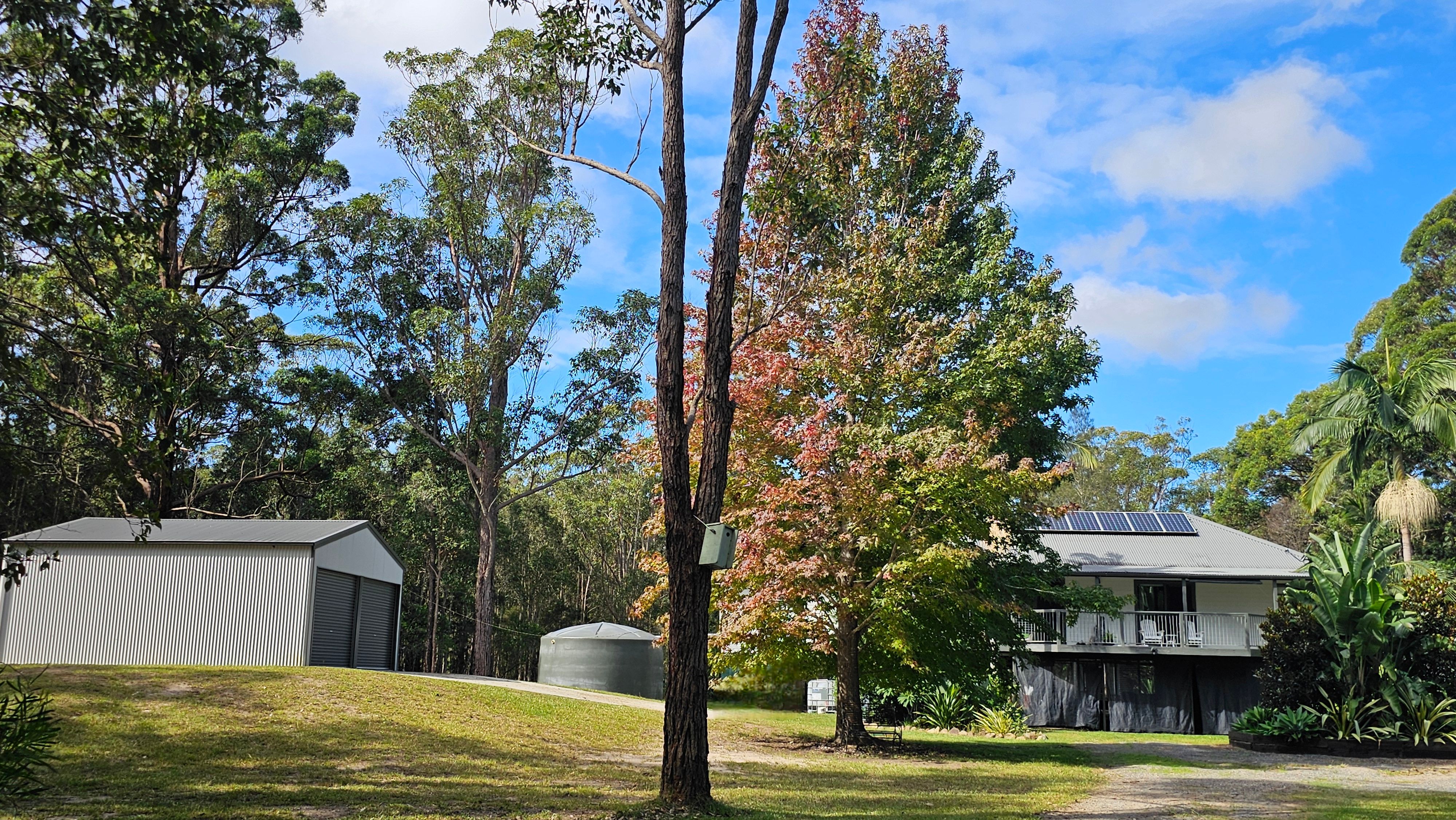1595 Maria River Road, Crescent Head, NSW 2440 | Realty.com.au