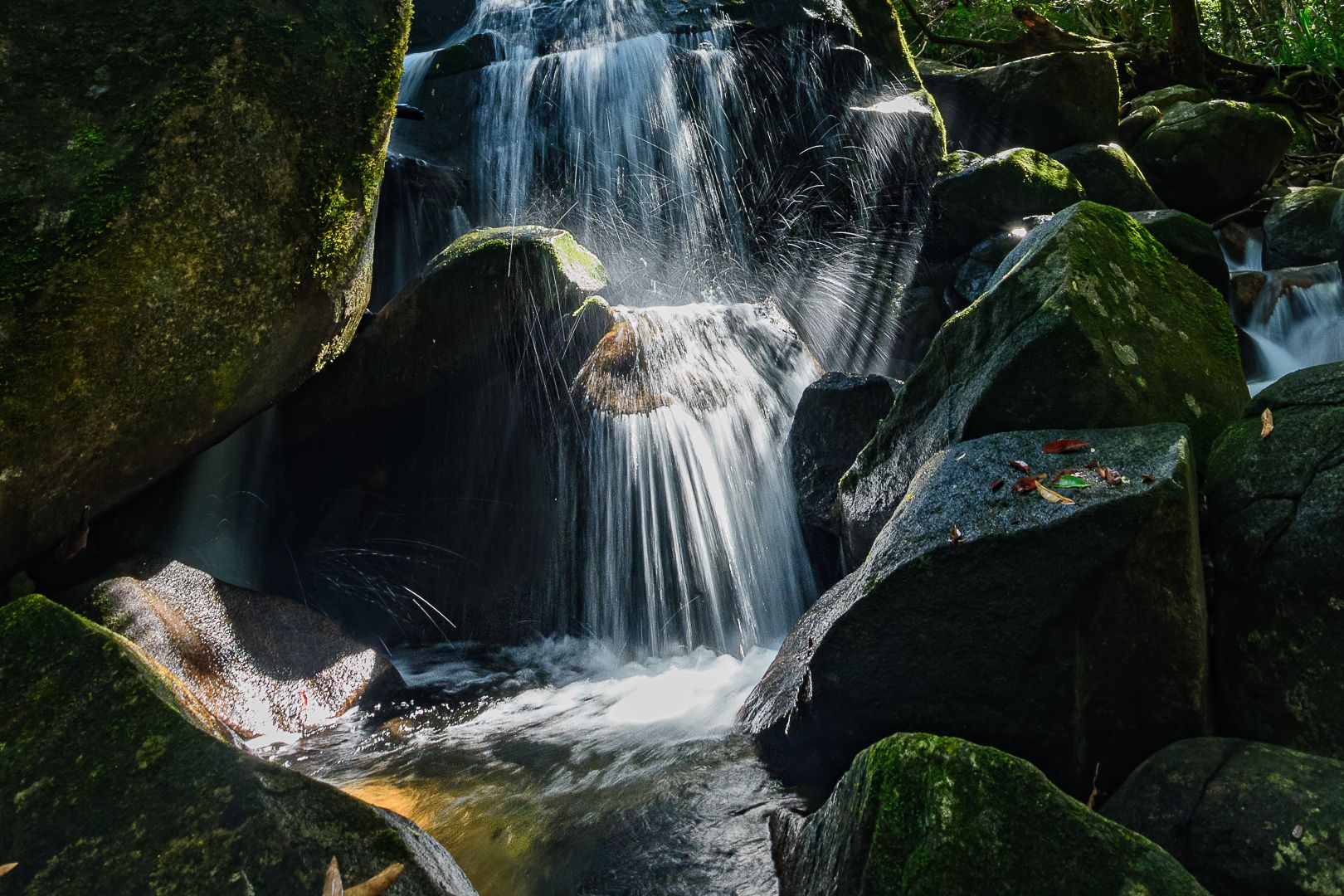 Diwan, QLD 4873 | Realty.com.au