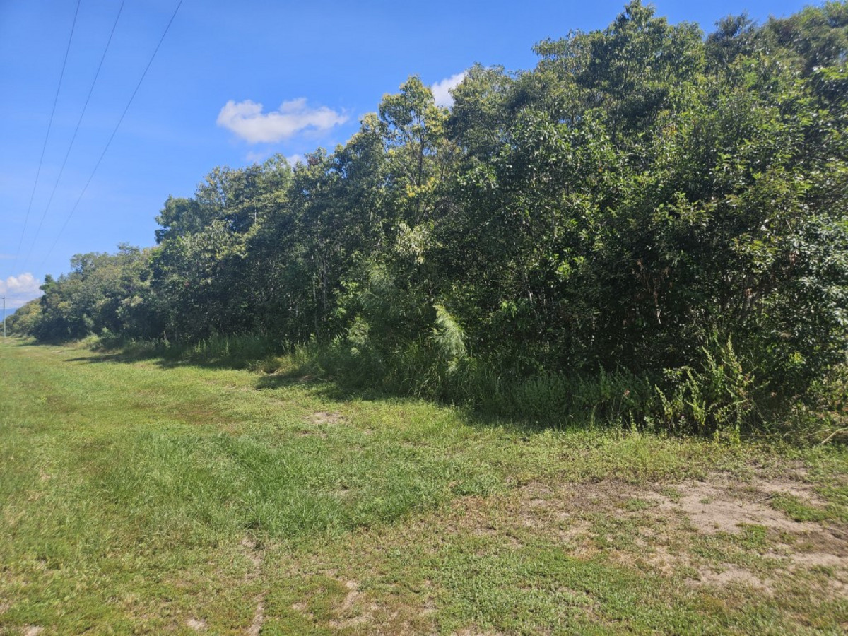 Cassady's Beach Road, Forrest Beach, QLD 4850 | Realty.com.au