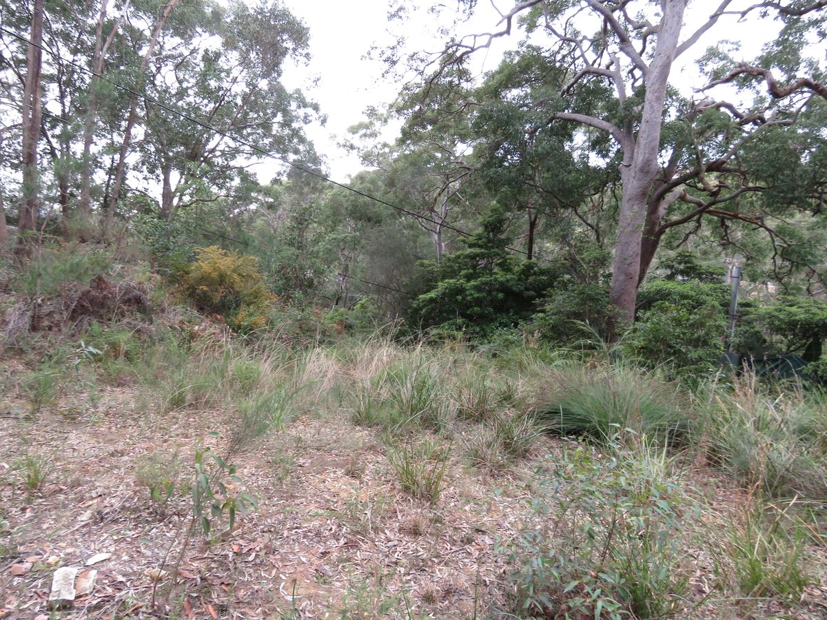 59 Old Ferry Road, Illawong, NSW 2234 | Realty.com.au