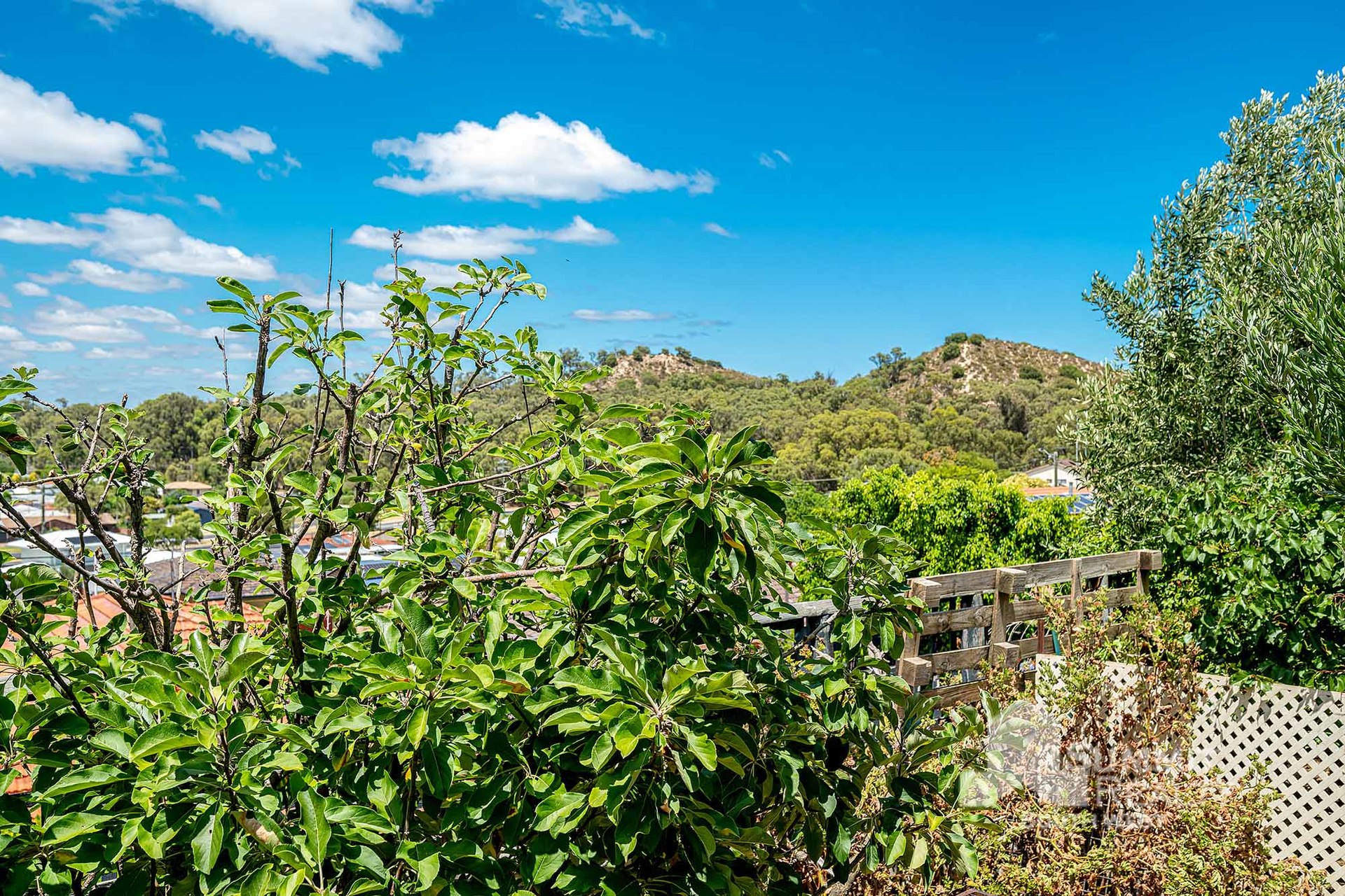 11 Sturt Street, South Bunbury, WA 6230 | Realty.com.au