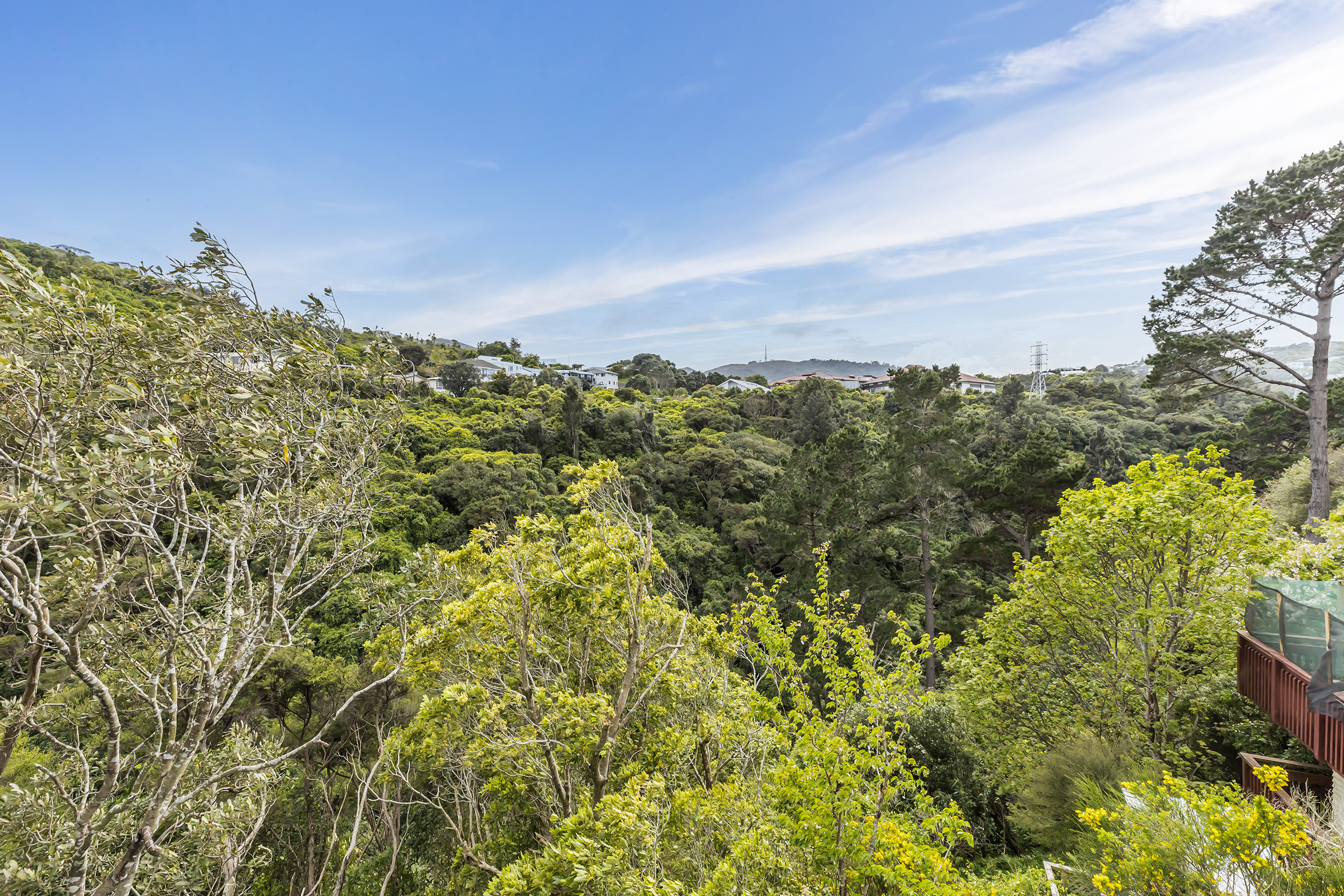 18 Blackbridge Road, Wadestown, WELLINGTON 6012 | Realty.com.au