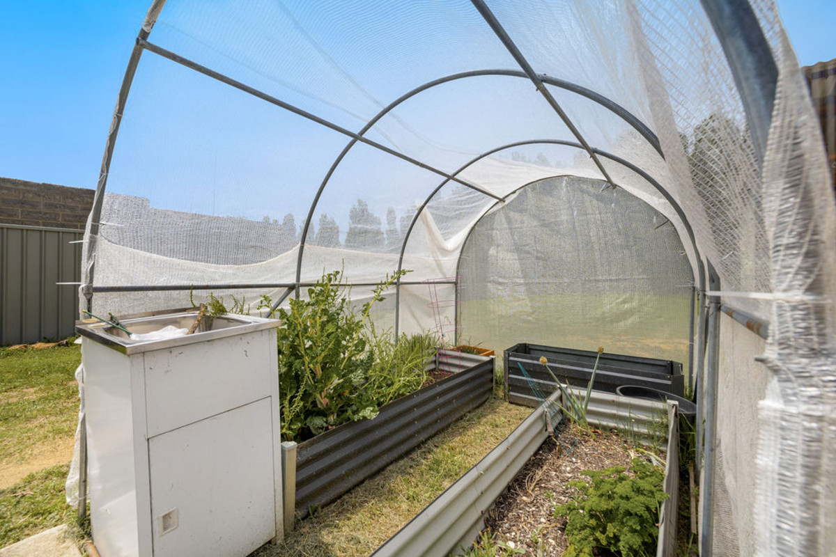 55 Myack Street, Berridale, NSW 2628 | Realty.com.au